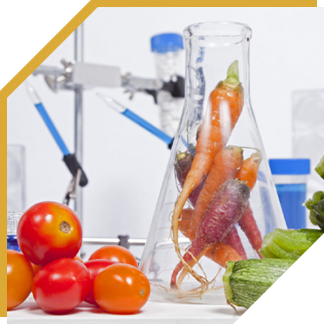 Mas Quality Certification and Training