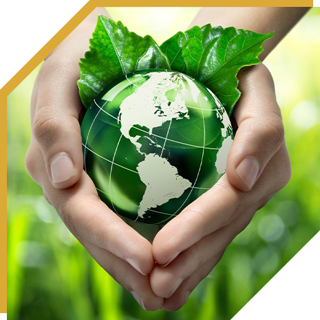 Mas Quality Certification and Training